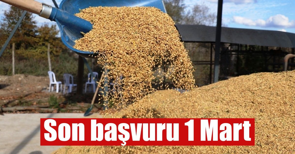 Son başvuru 1 Mart | Burası Düzce